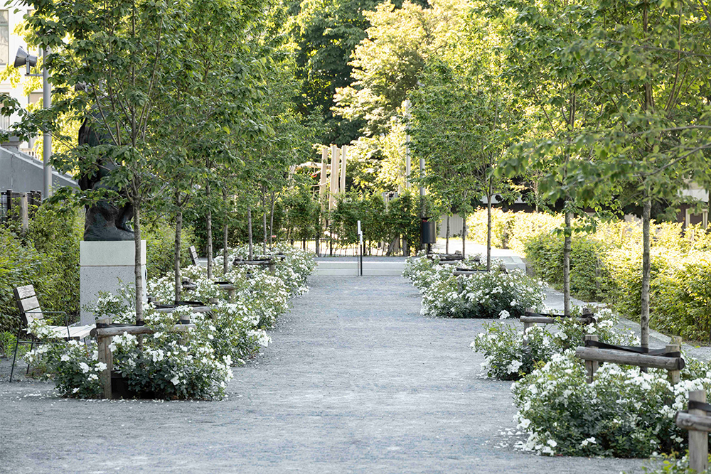 Getransformeerde museumtuin geeft KMSKA extra uitstraling