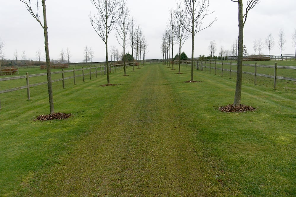 Waterinfiltratie garanderen dankzij het juiste grindgazon